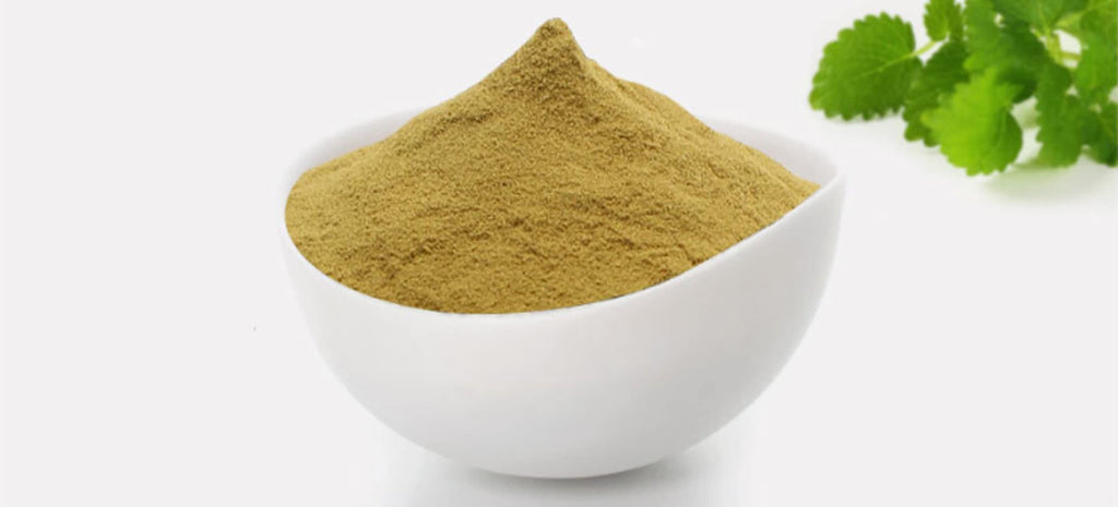 organic supplements for holistic health