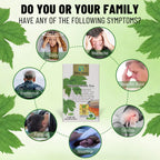 organic tea blend for hypertension relief