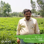 organic Three Mint herbal infusion