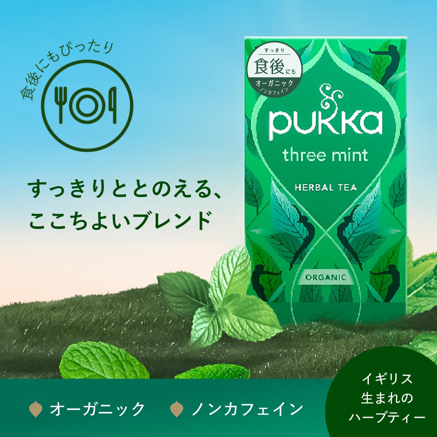 organic Three Mint Tea for digestion