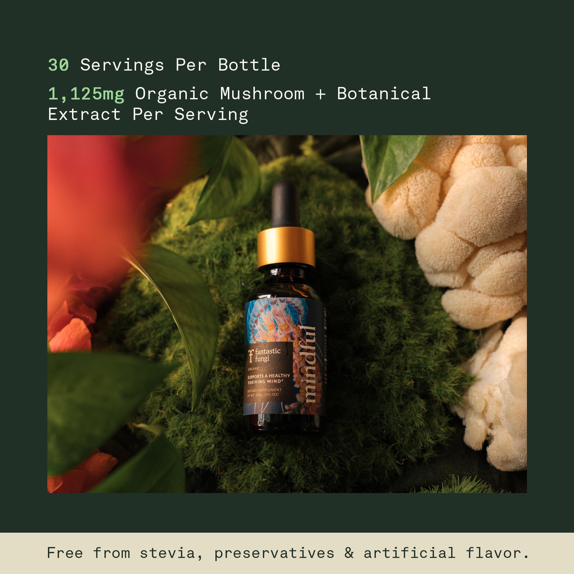 Organic tincture for brain health support