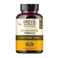 organic tribulus terrestris supplement