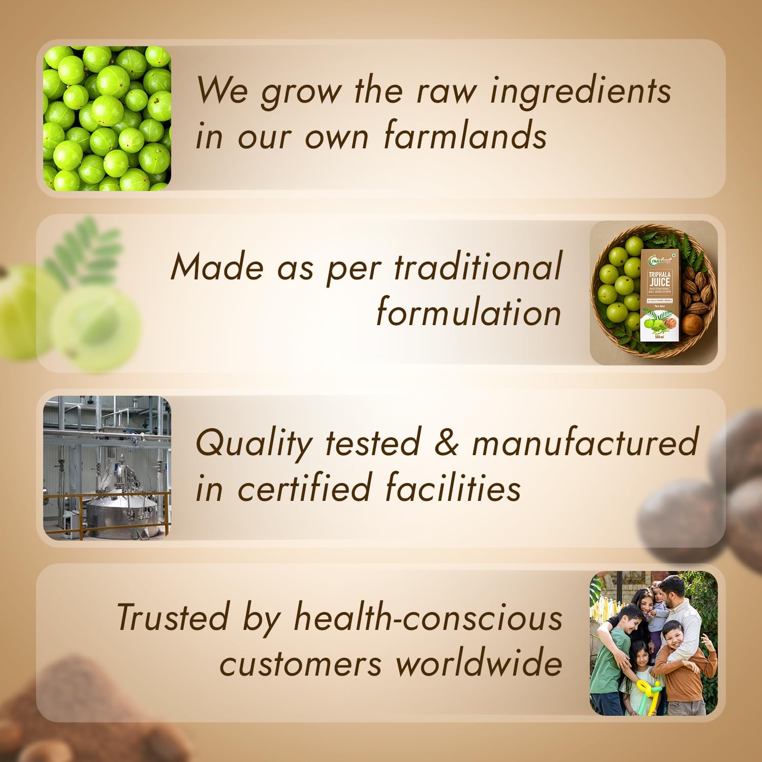 Organic Triphala juice for vitality