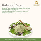 Organic Tulsi for wellness