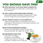 organic Tulsi green tea for wellness