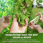 Organic Tulsi Moringa tea bags