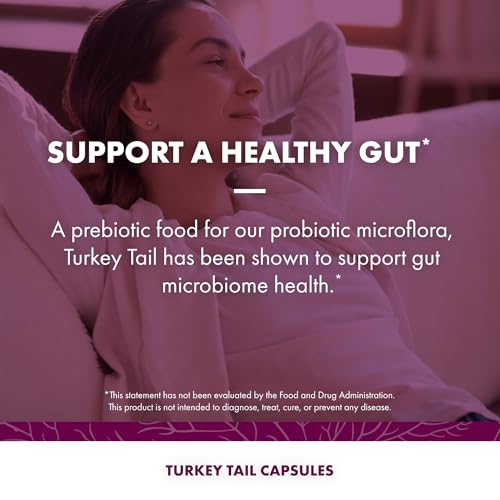 organic turkey tail extract for immune support