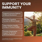organic turkey tail mushroom capsules