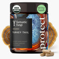 organic turkey tail mushroom capsules