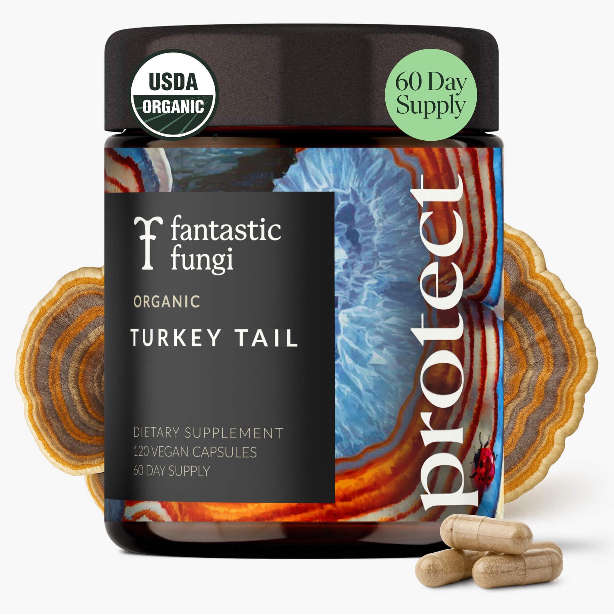 organic turkey tail mushroom capsules