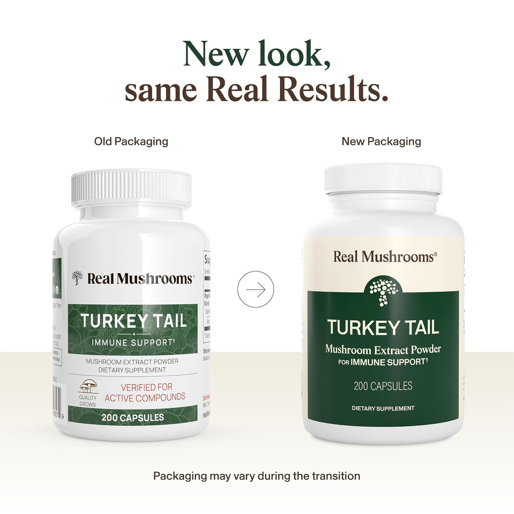 organic turkey tail mushroom capsules
