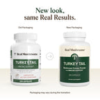 organic turkey tail mushroom capsules