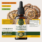 organic Turkey Tail mushroom capsules