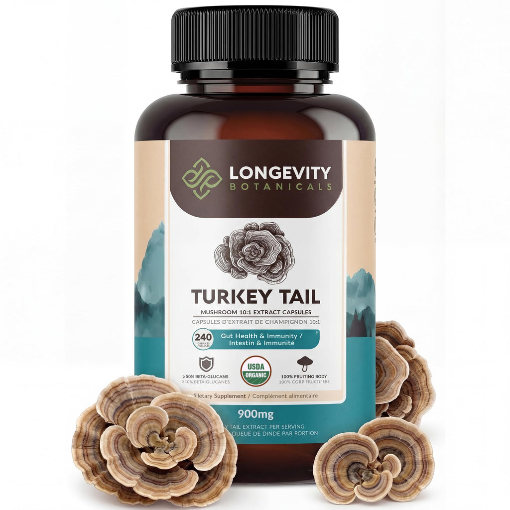 organic turkey tail mushroom capsules