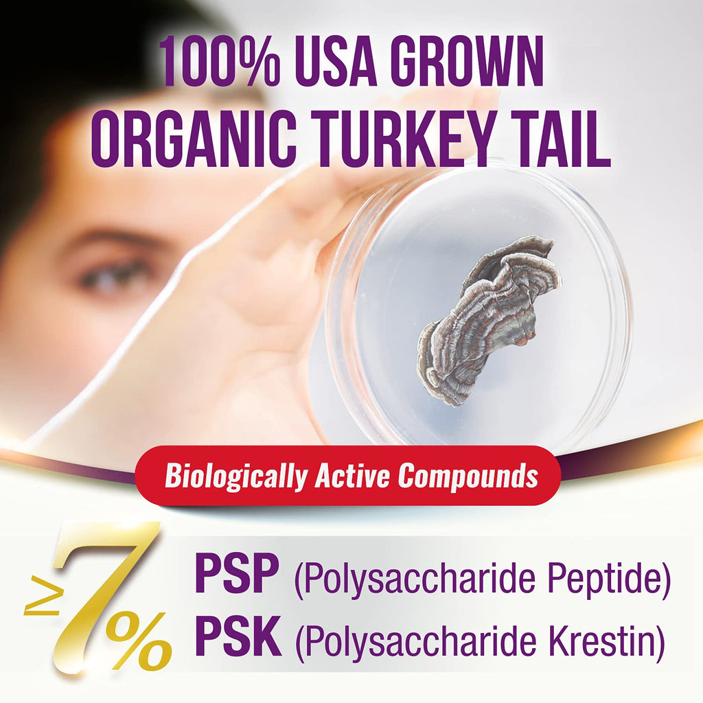 organic turkey tail mushroom capsules