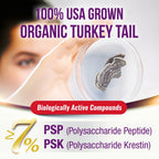 organic turkey tail mushroom capsules