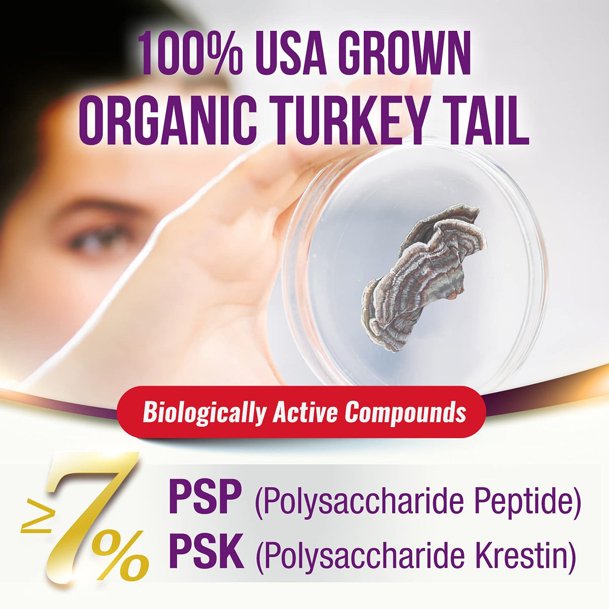 organic turkey tail mushroom capsules