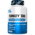 organic turkey tail mushroom capsules