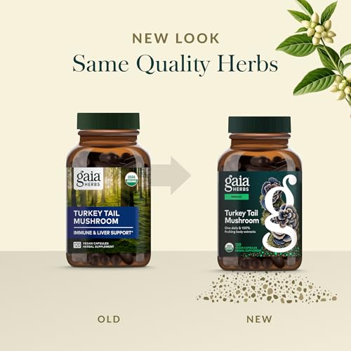 organic turkey tail mushroom extract