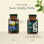 organic turkey tail mushroom extract