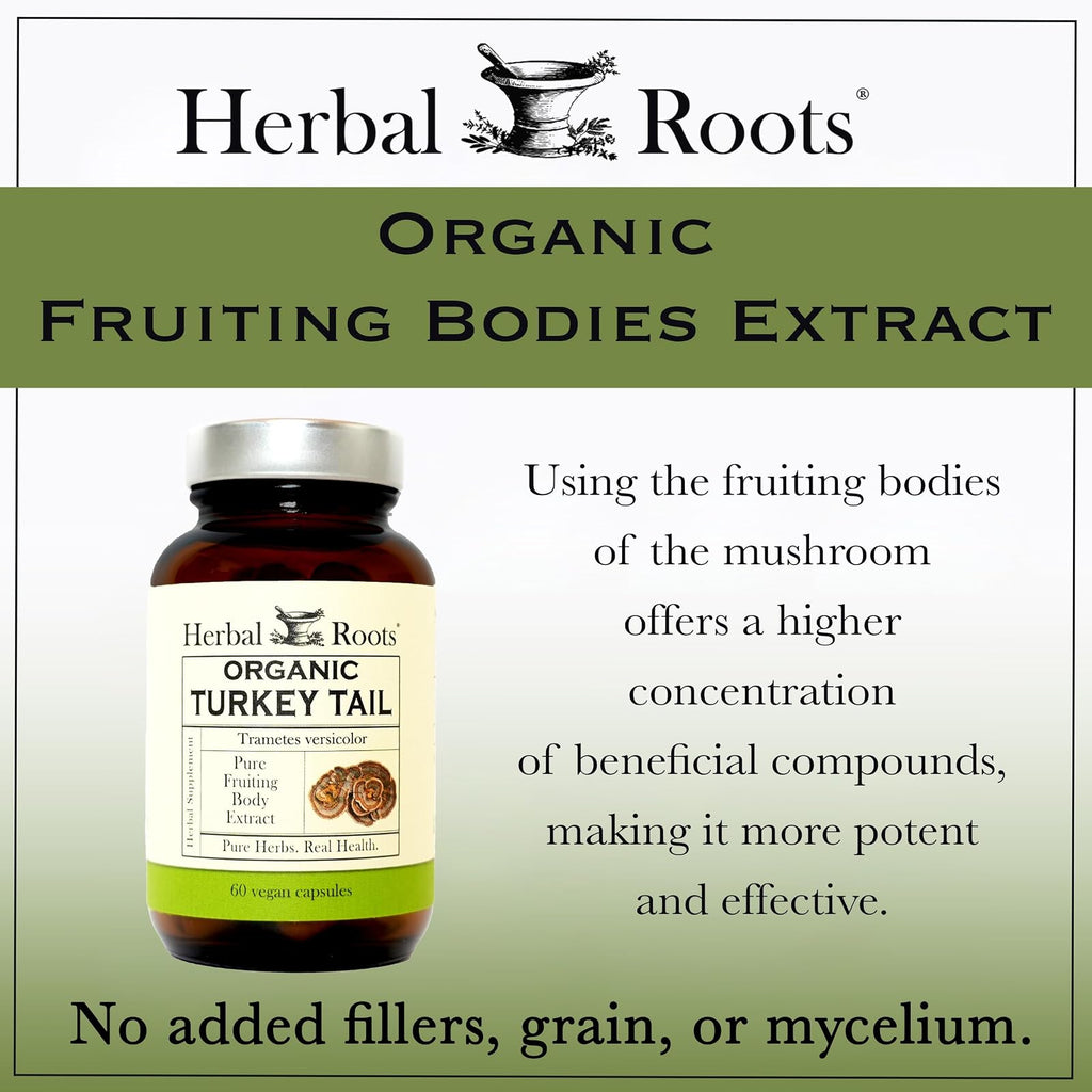 Organic Turkey Tail mushroom health boost