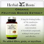 Organic Turkey Tail mushroom health boost