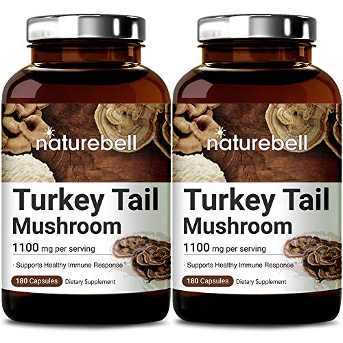organic turkey tail mushrooms benefits