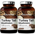 organic turkey tail mushrooms benefits