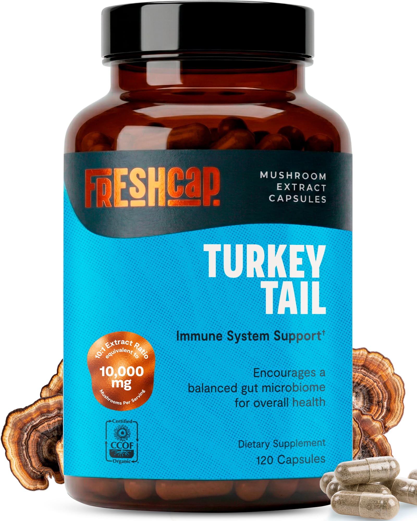 organic turkey tail mushrooms capsules