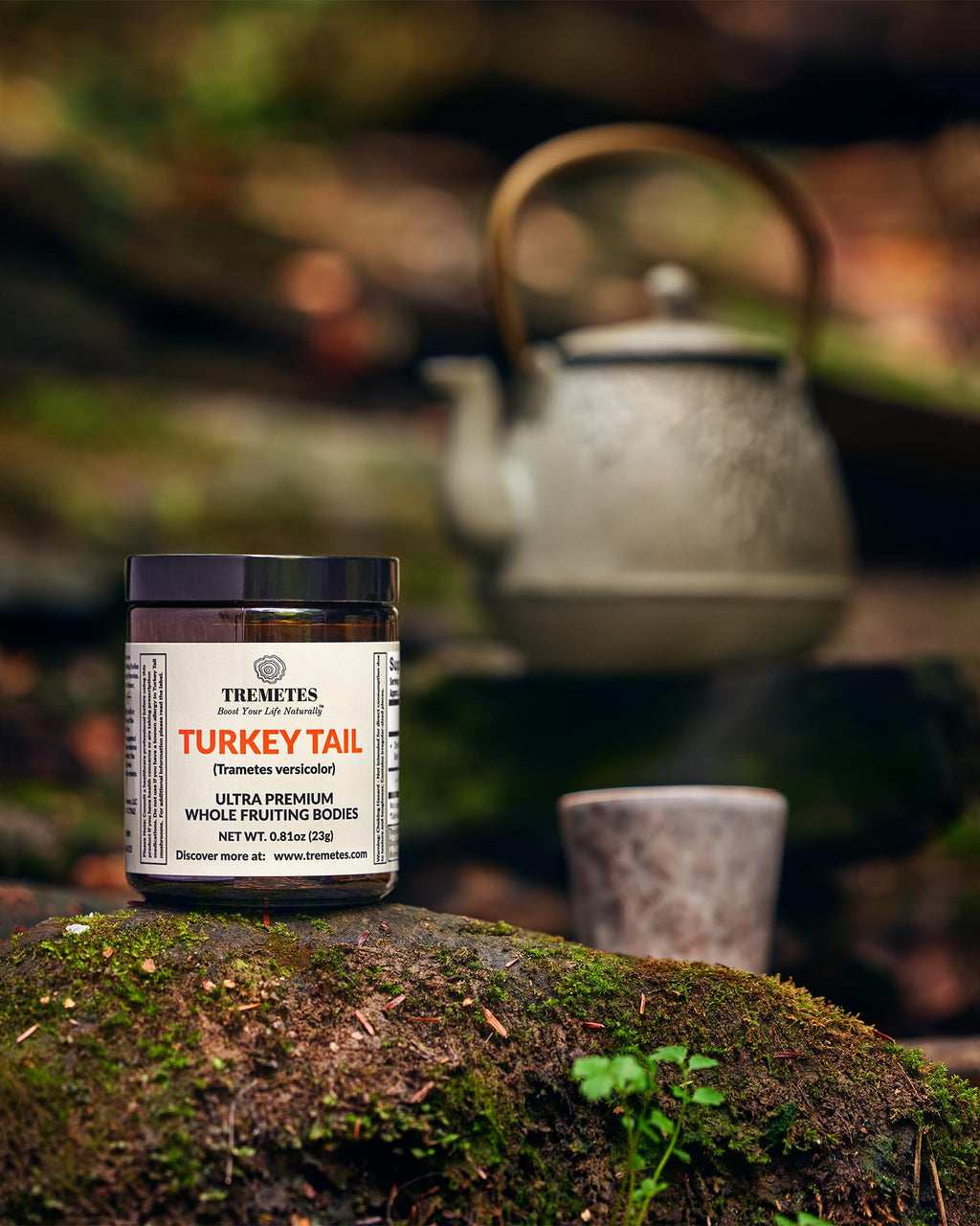 Organic Turkey Tail mushrooms for health