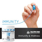 Organic Turkey Tail mushrooms for immunity