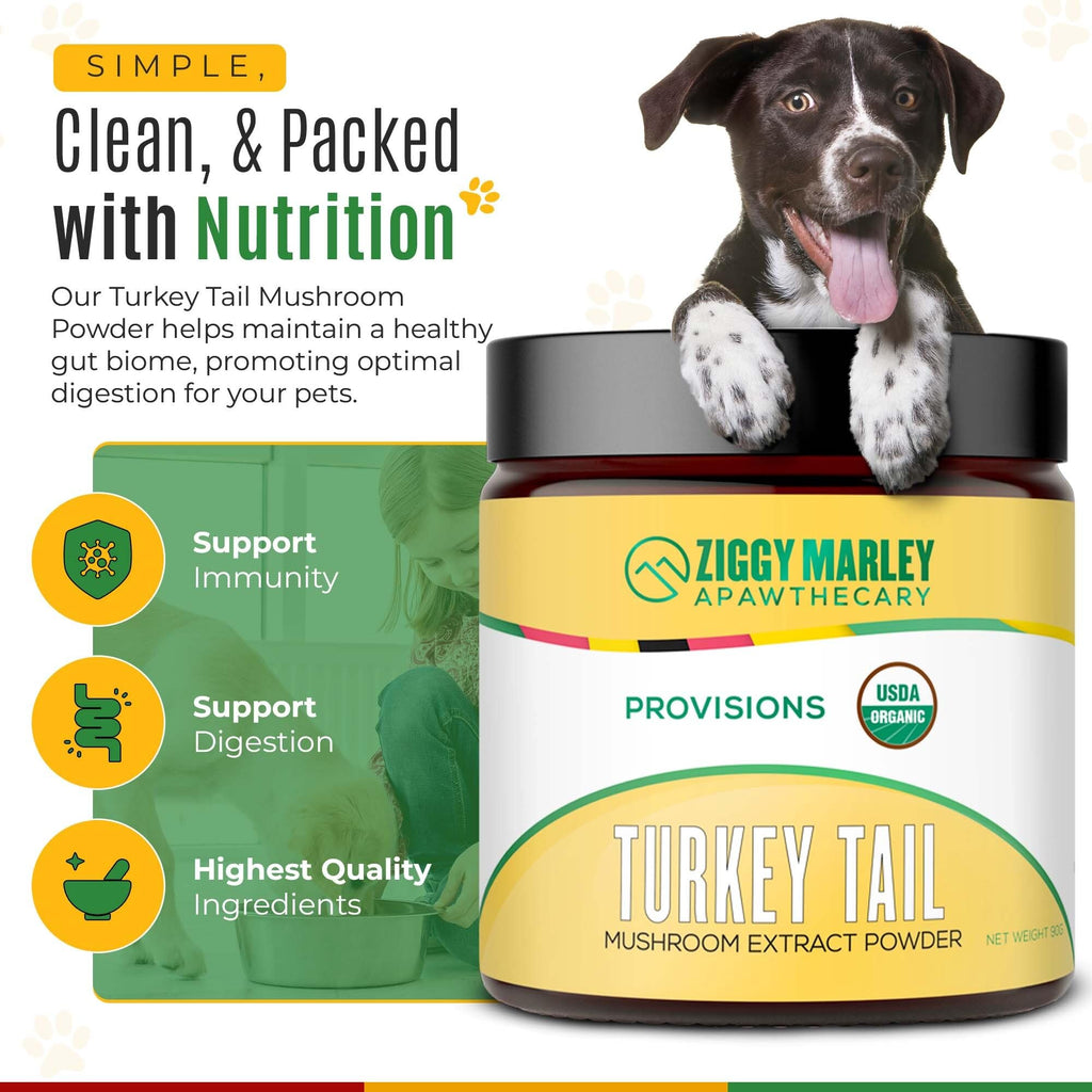 organic turkey tail mushrooms for pets
