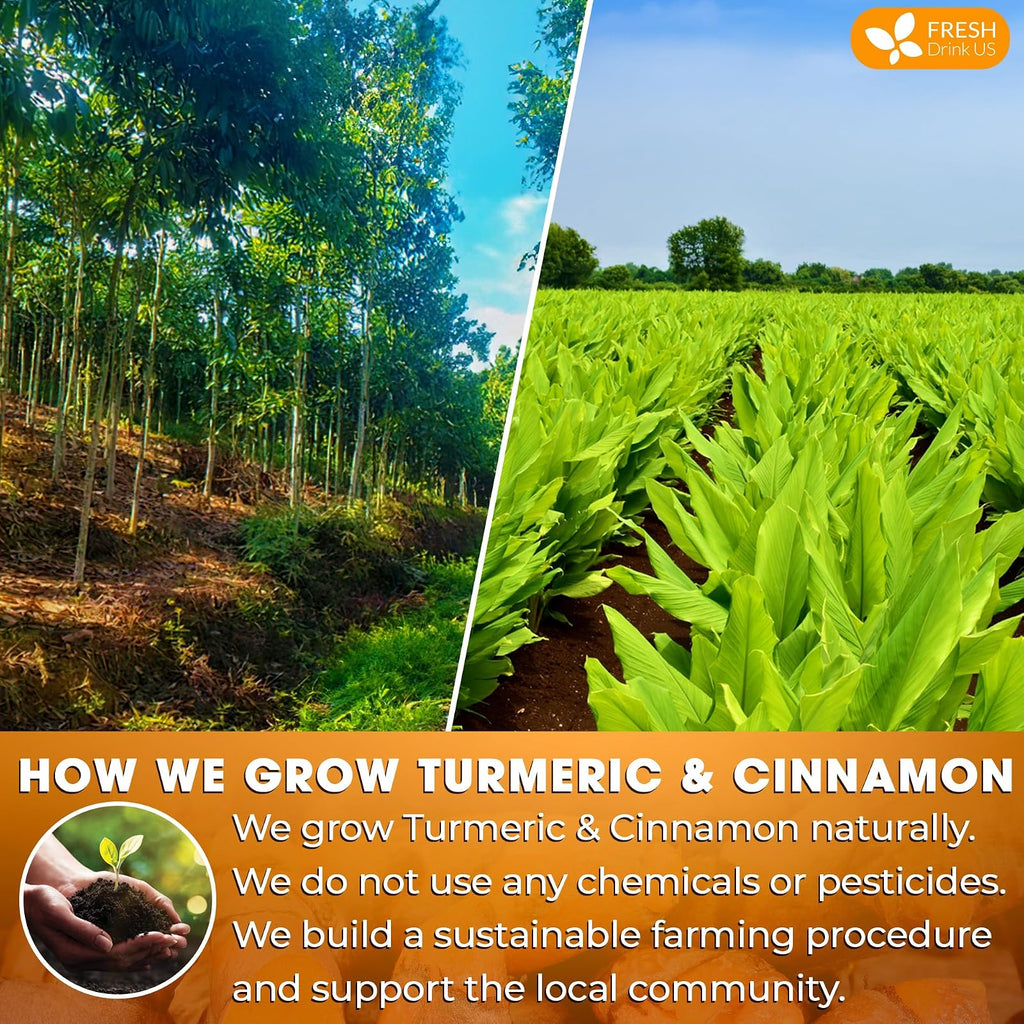 organic turmeric cinnamon tea bags