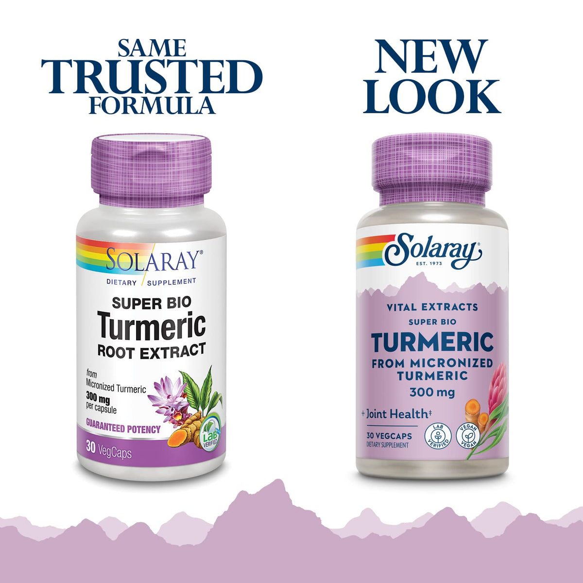 organic turmeric curcumin for inflammation