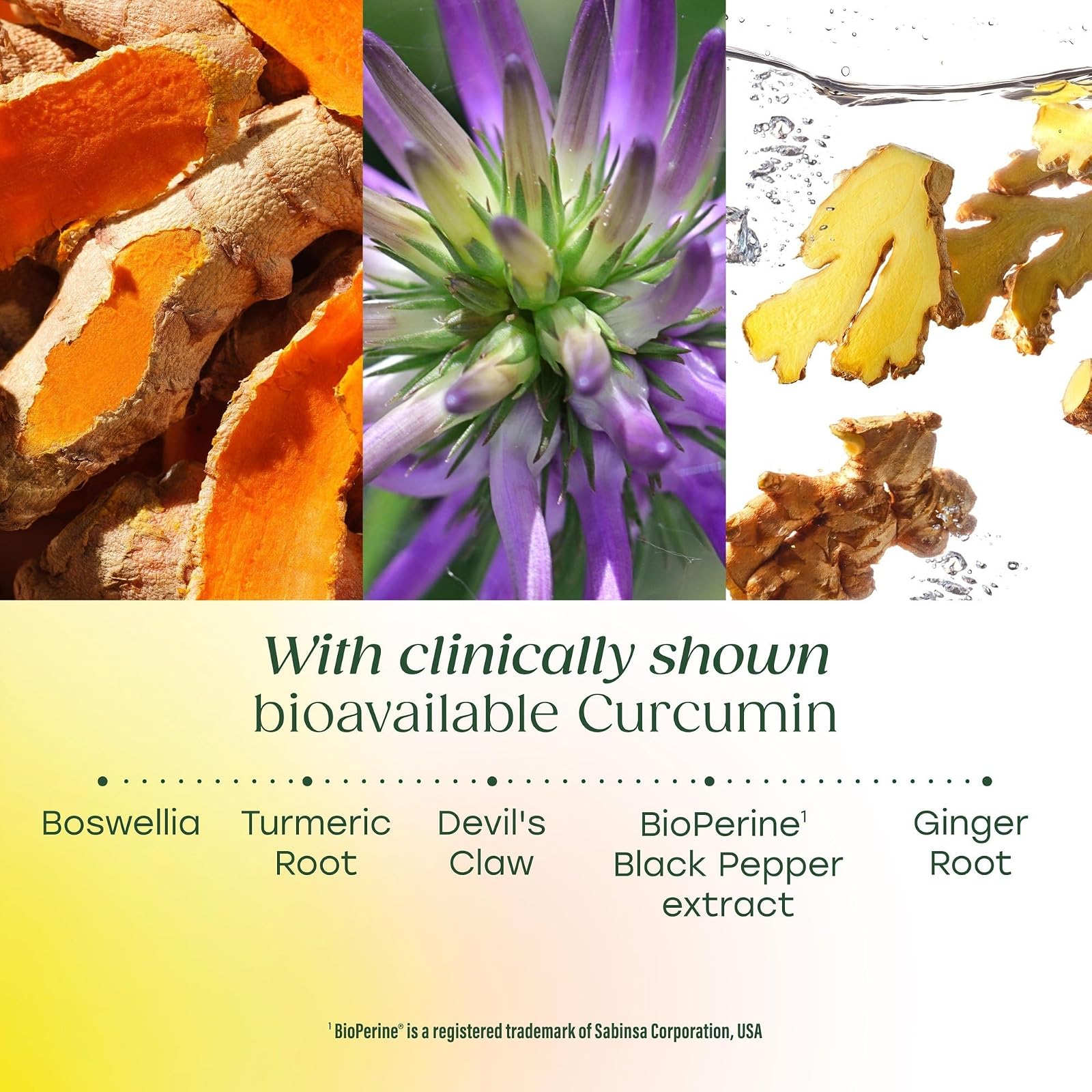 organic turmeric curcumin for wellness