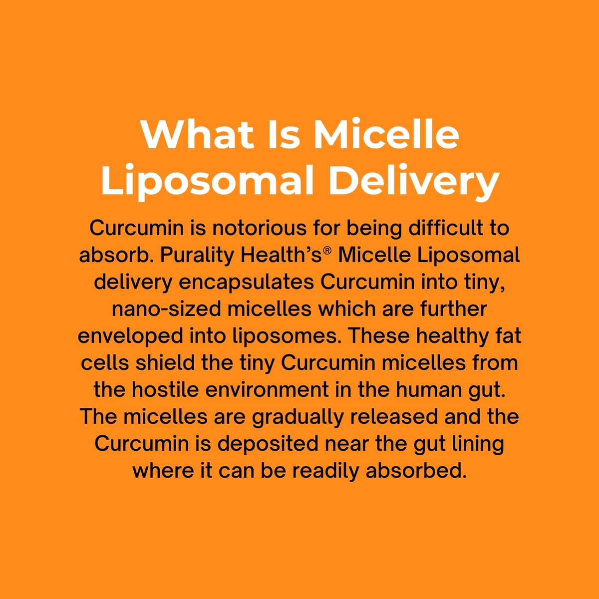 Organic turmeric curcumin health booster