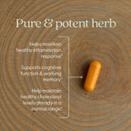 organic turmeric for joint health