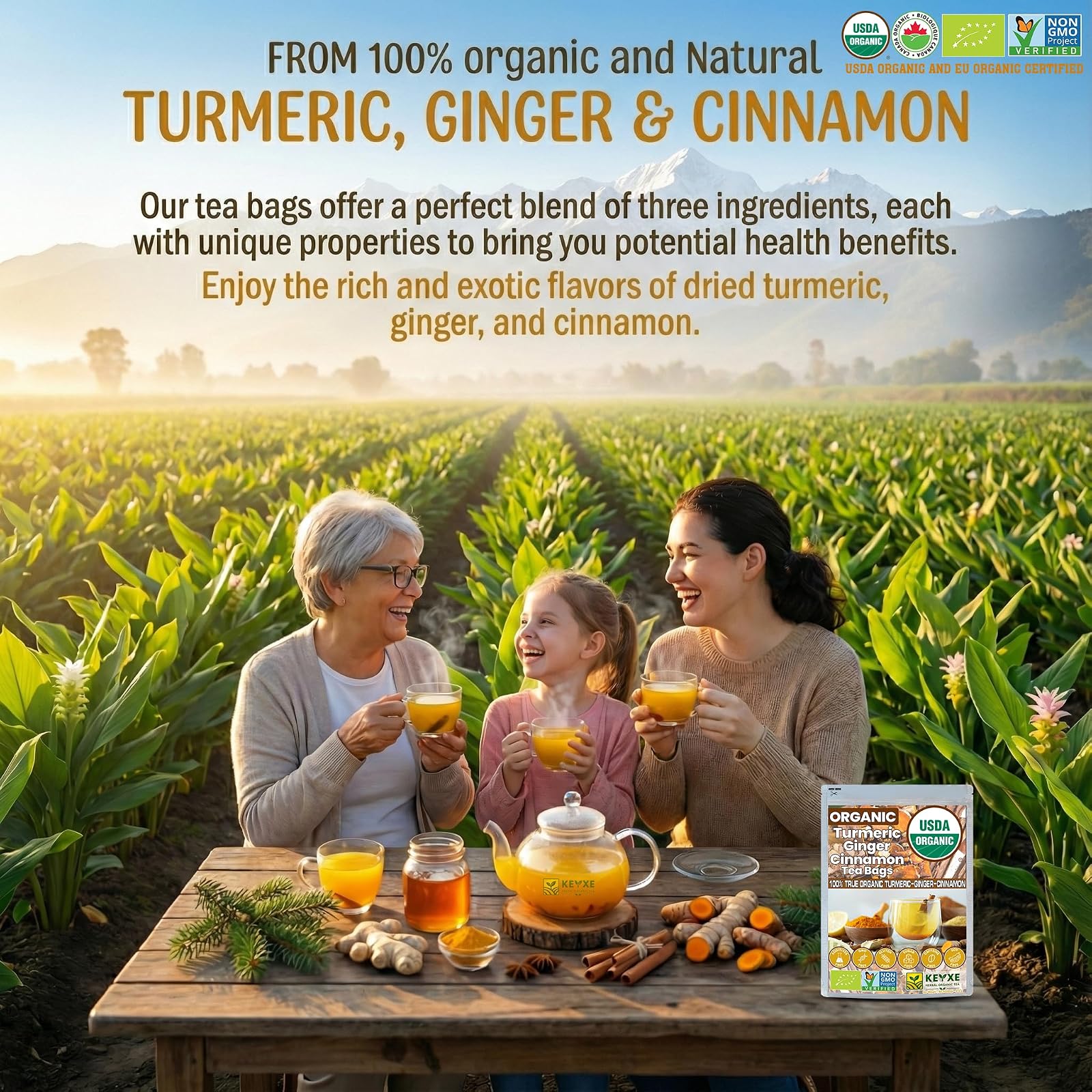 organic turmeric ginger cinnamon infusion