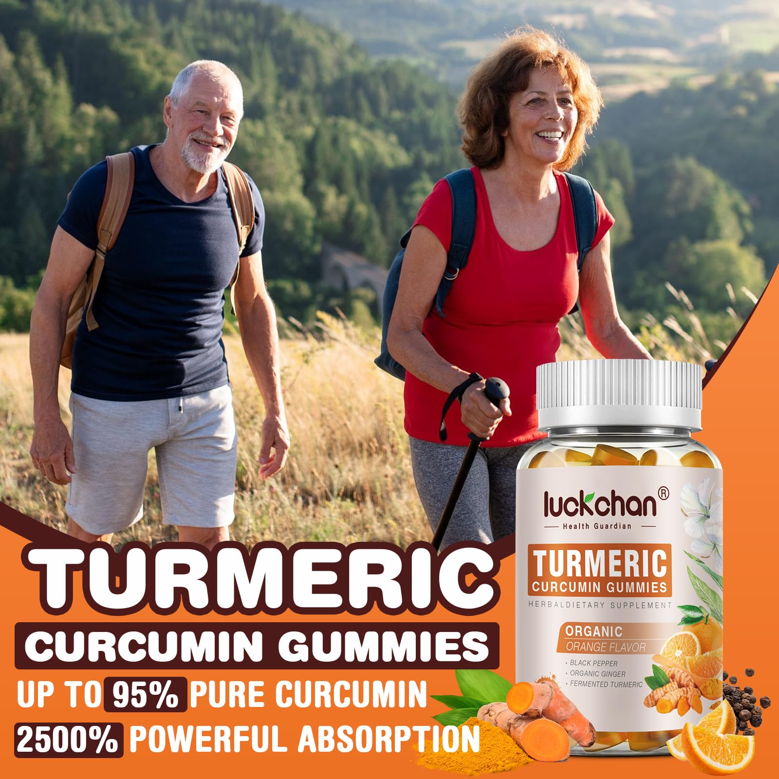 organic turmeric supplement with ginger