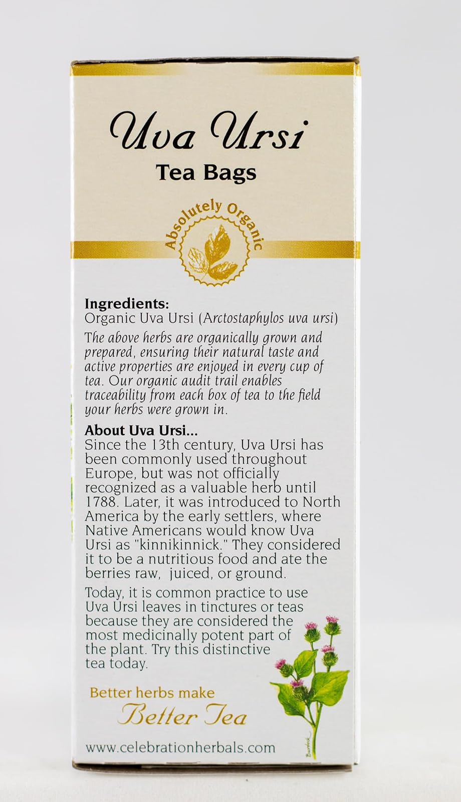 Organic Uva Ursi tea infusion