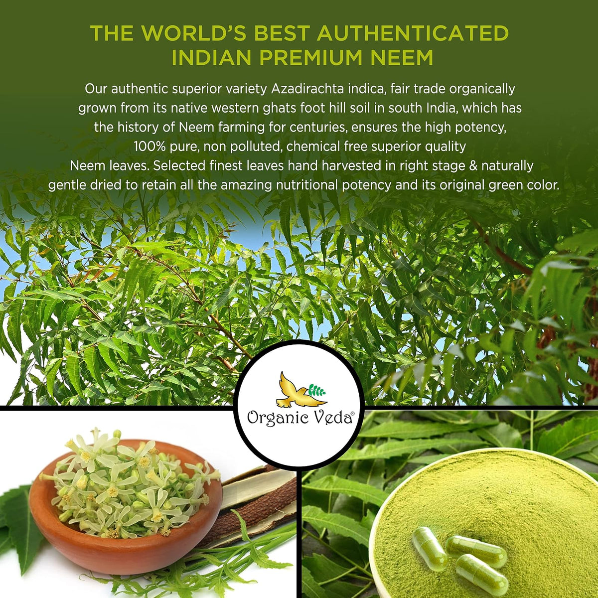 Organic Veda Neem supplements for skin health