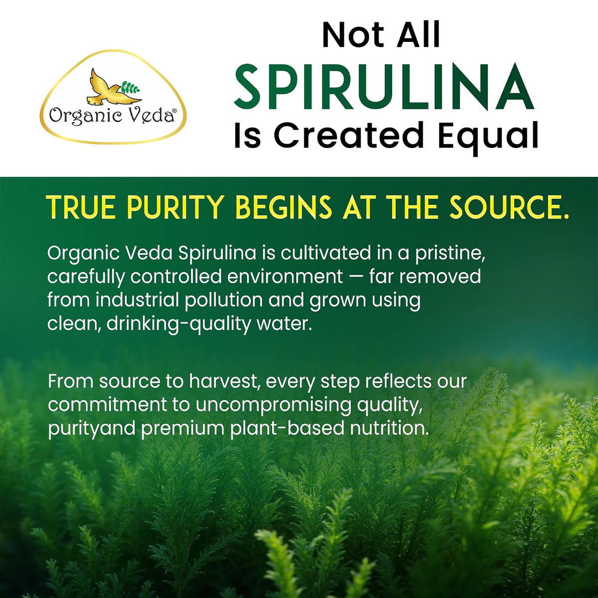 Organic Veda spirulina for overall wellness