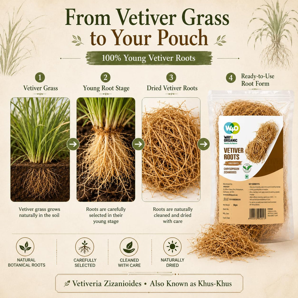 organic vetiver root tea for wellness