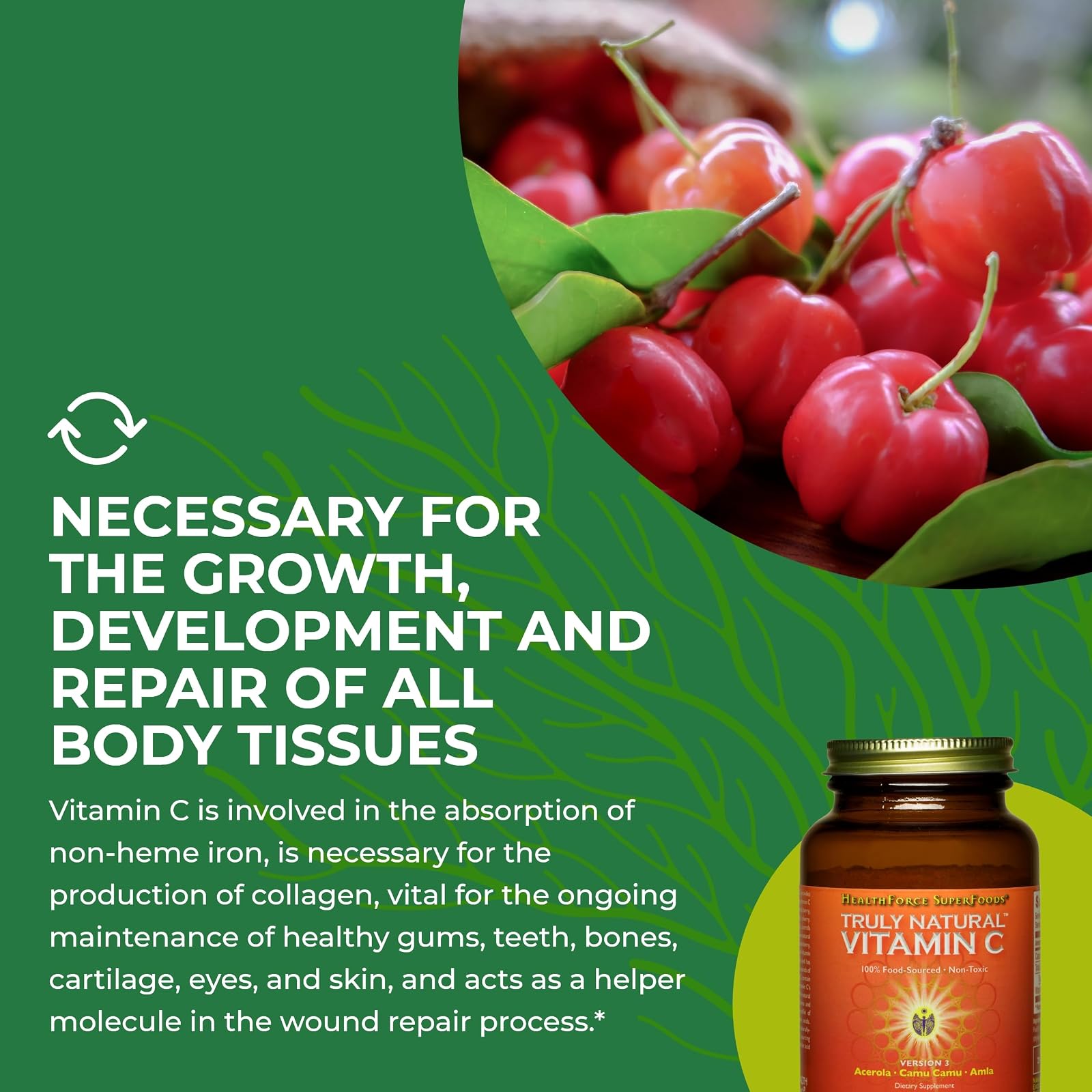 organic vitamin c for daily wellness