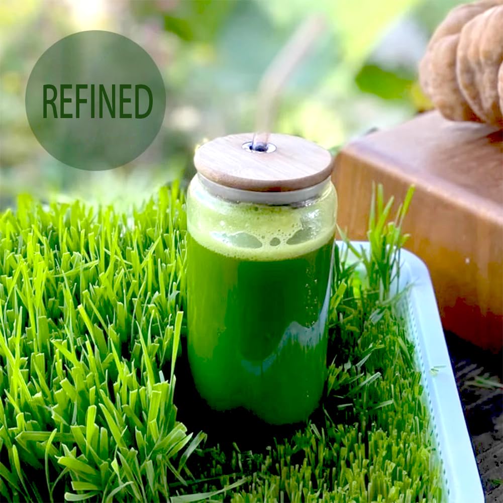 organic vitamins for daily wellness