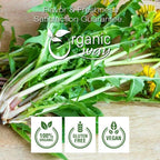 Organic Way dandelion powder for detox