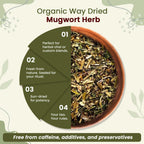 organic way mugwort tea benefits