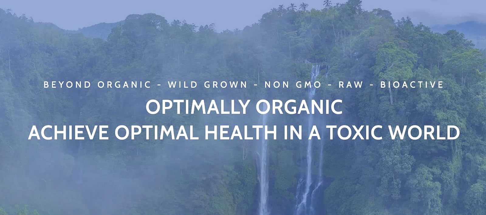 organic weight management solution