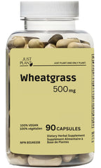 organic wheat grass capsules for vitality