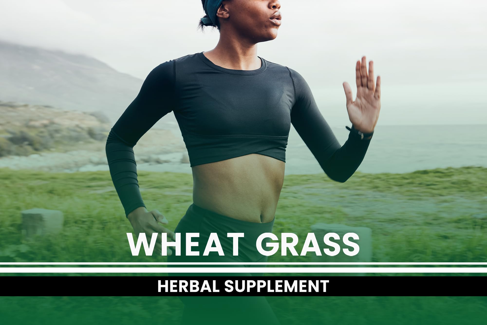 organic wheat grass for daily nutrition